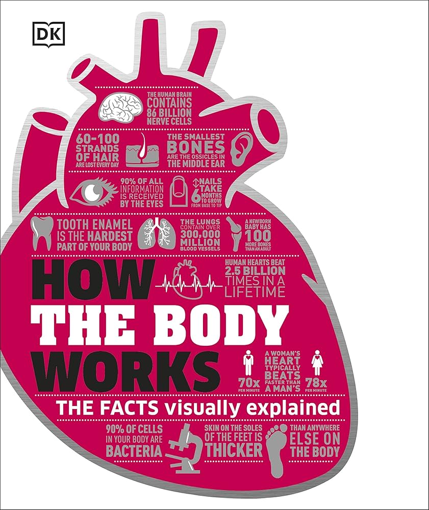 How the Body Works: The Facts Simply Explained (DK How Stuff Works ...